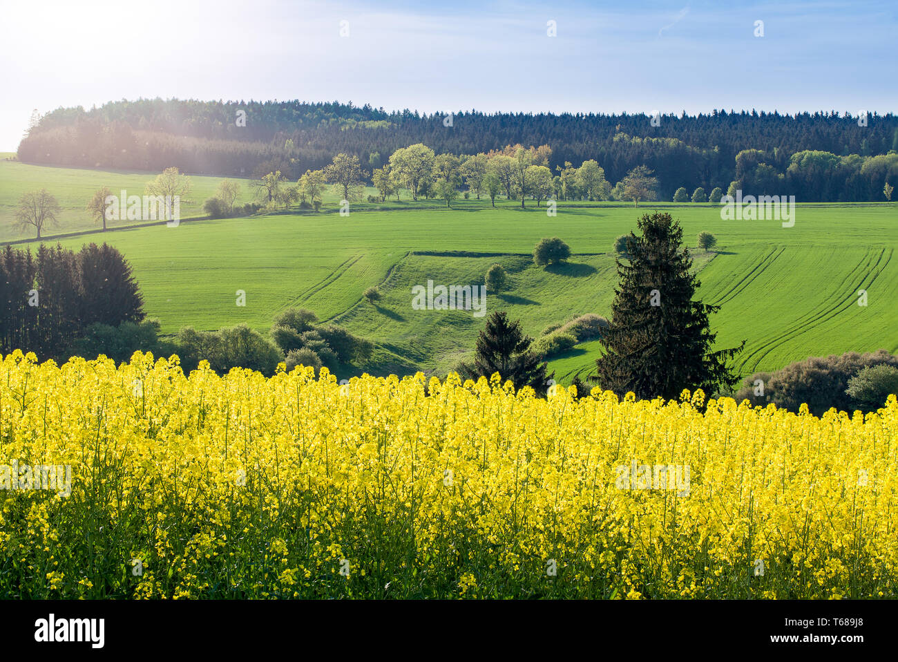 Beautiful spring rural landscape Stock Photo - Alamy