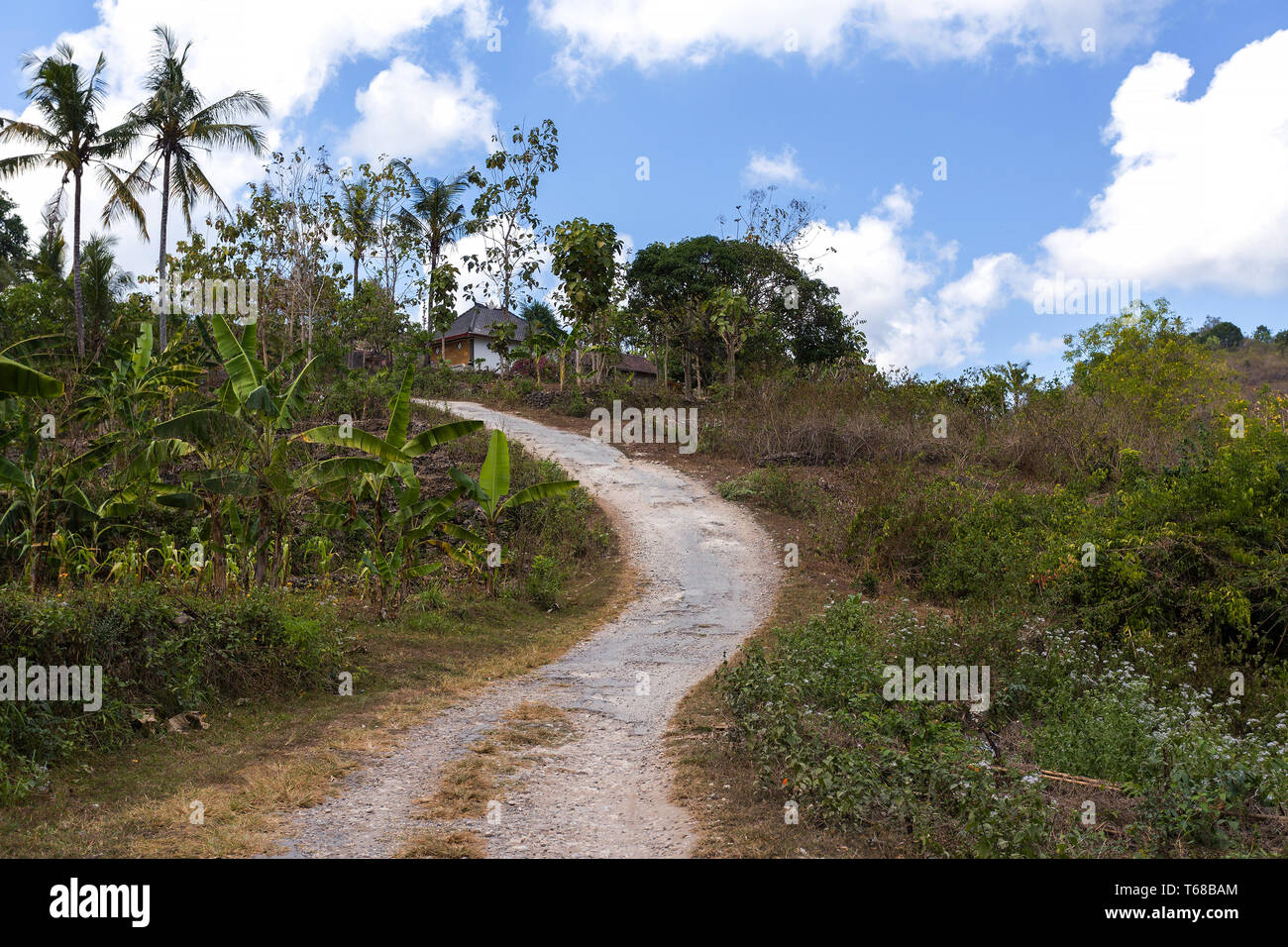 Nusa penida forest hi-res stock photography and images - Alamy