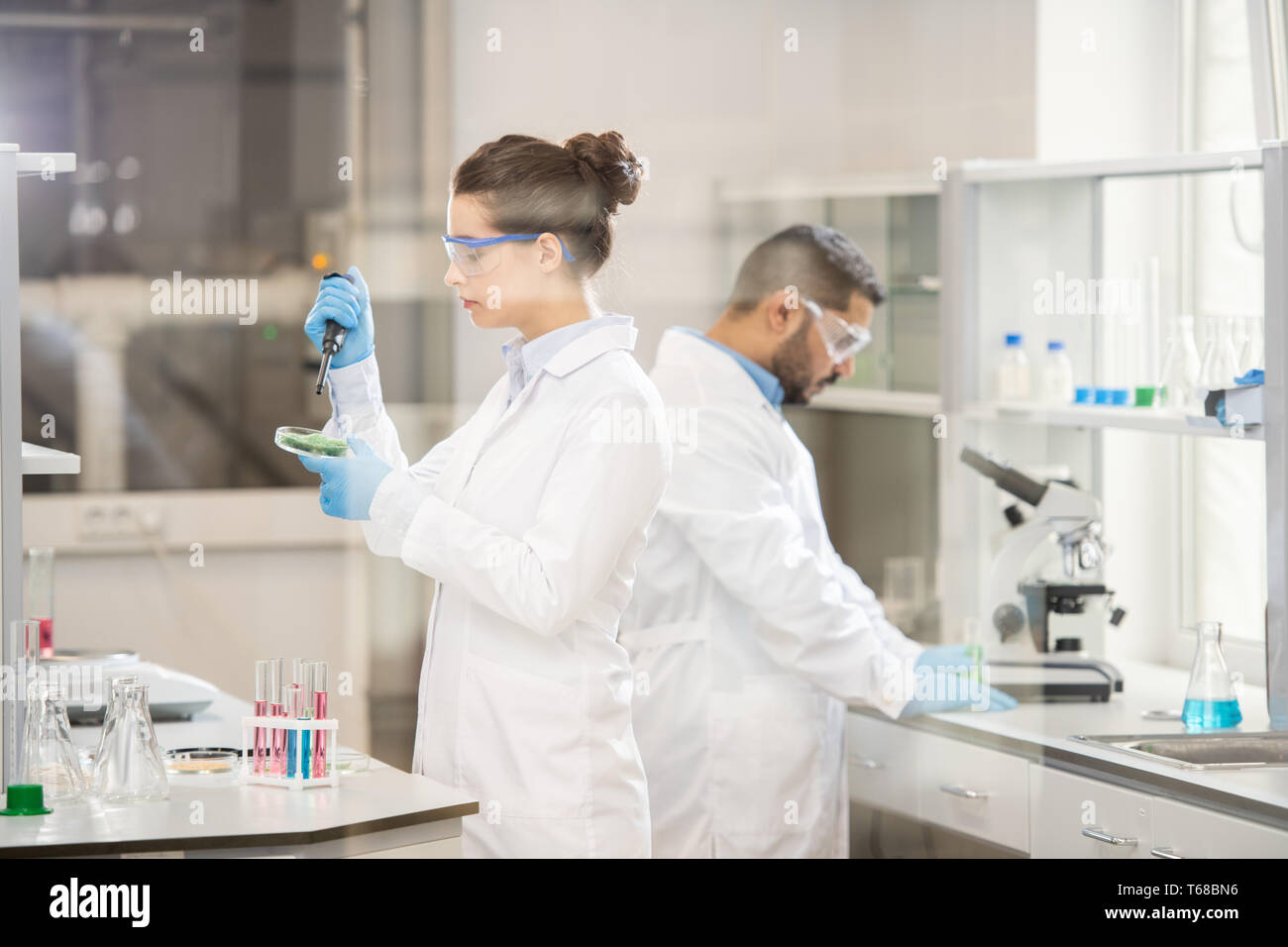 Lab chemist analyzing chemical compounds Stock Photo - Alamy