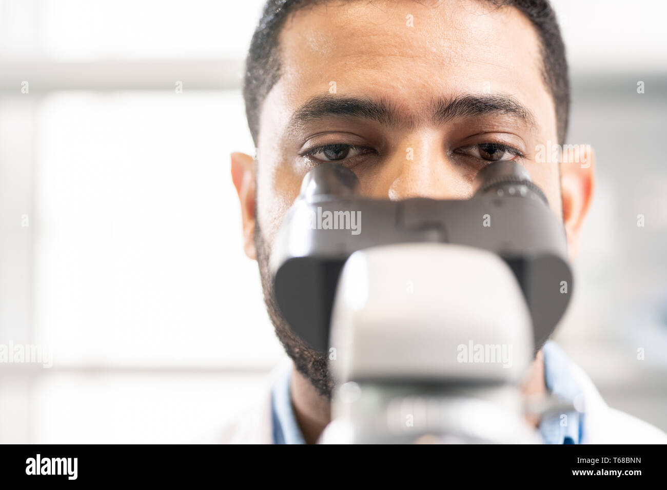 Lab biologist studying cells Stock Photo - Alamy