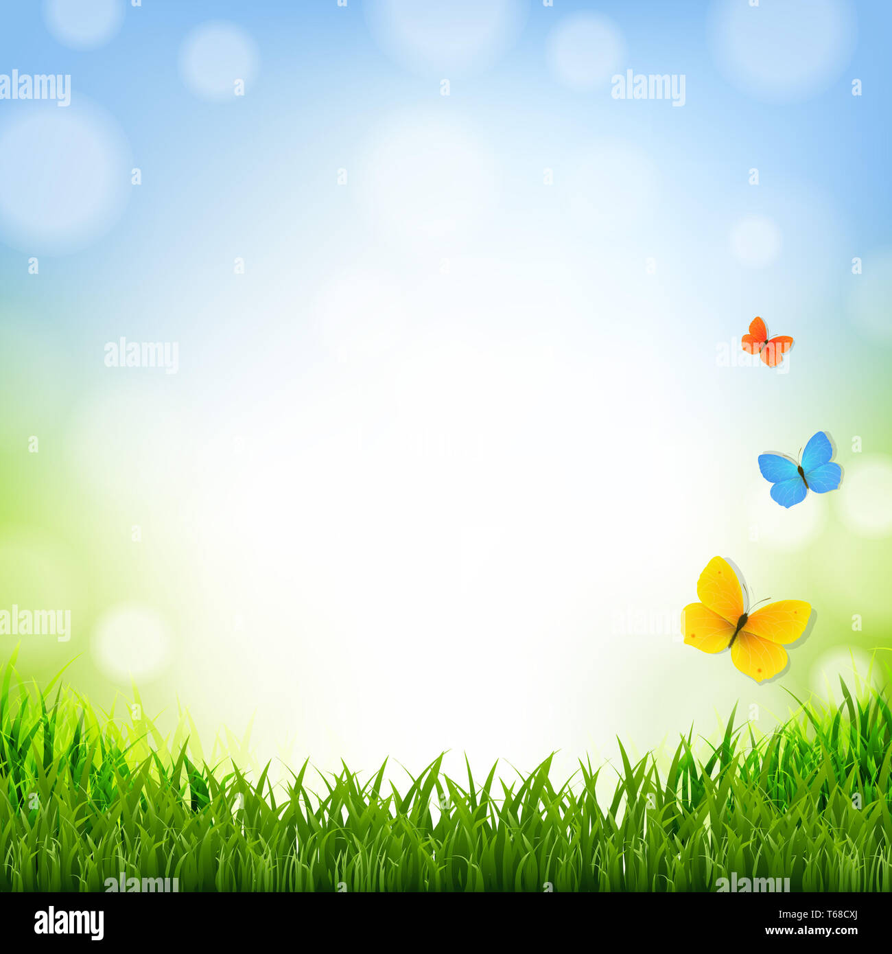 Grass border hi-res stock photography and images - Alamy