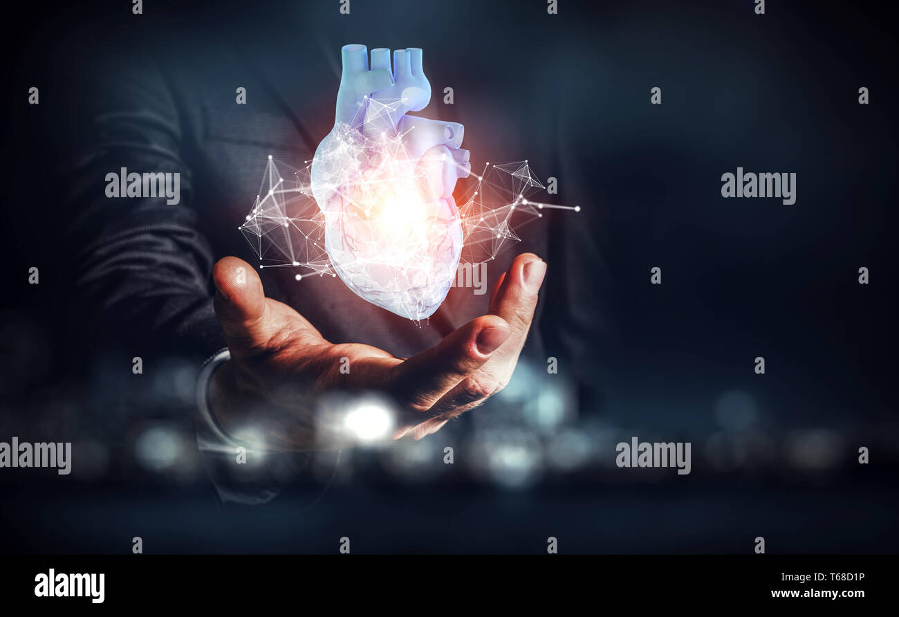 Man s hands showing anatomical heart model Stock Photo - Alamy