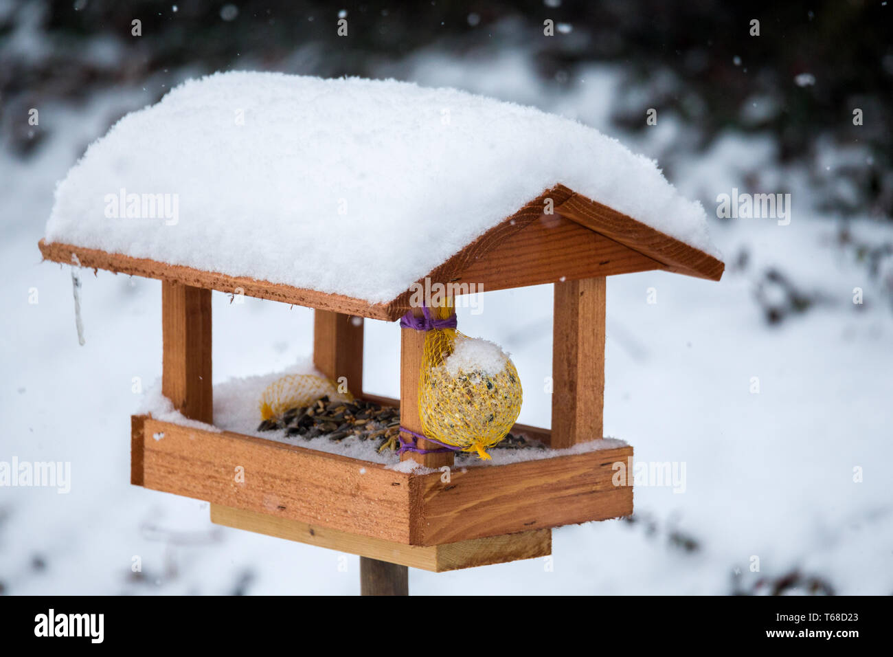 simple bird feeder Stock Photo - Alamy