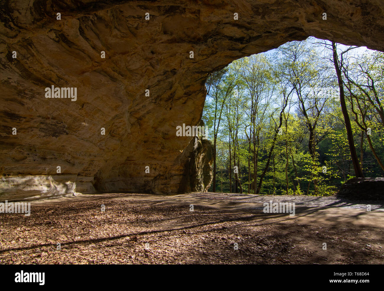 Council Overhang in Starved Rock State Park on a beautiful Spring ...