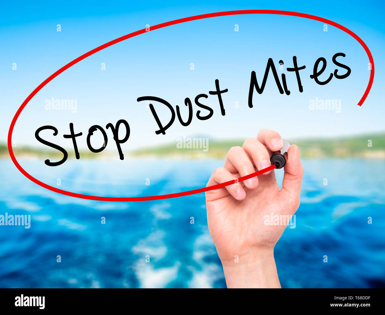 Man Hand writing Stop Dust Mites with black marker on visual screen ...