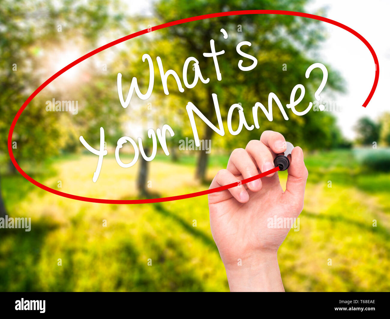 Man Hand writing What's your Name? with black marker on visual screen ...