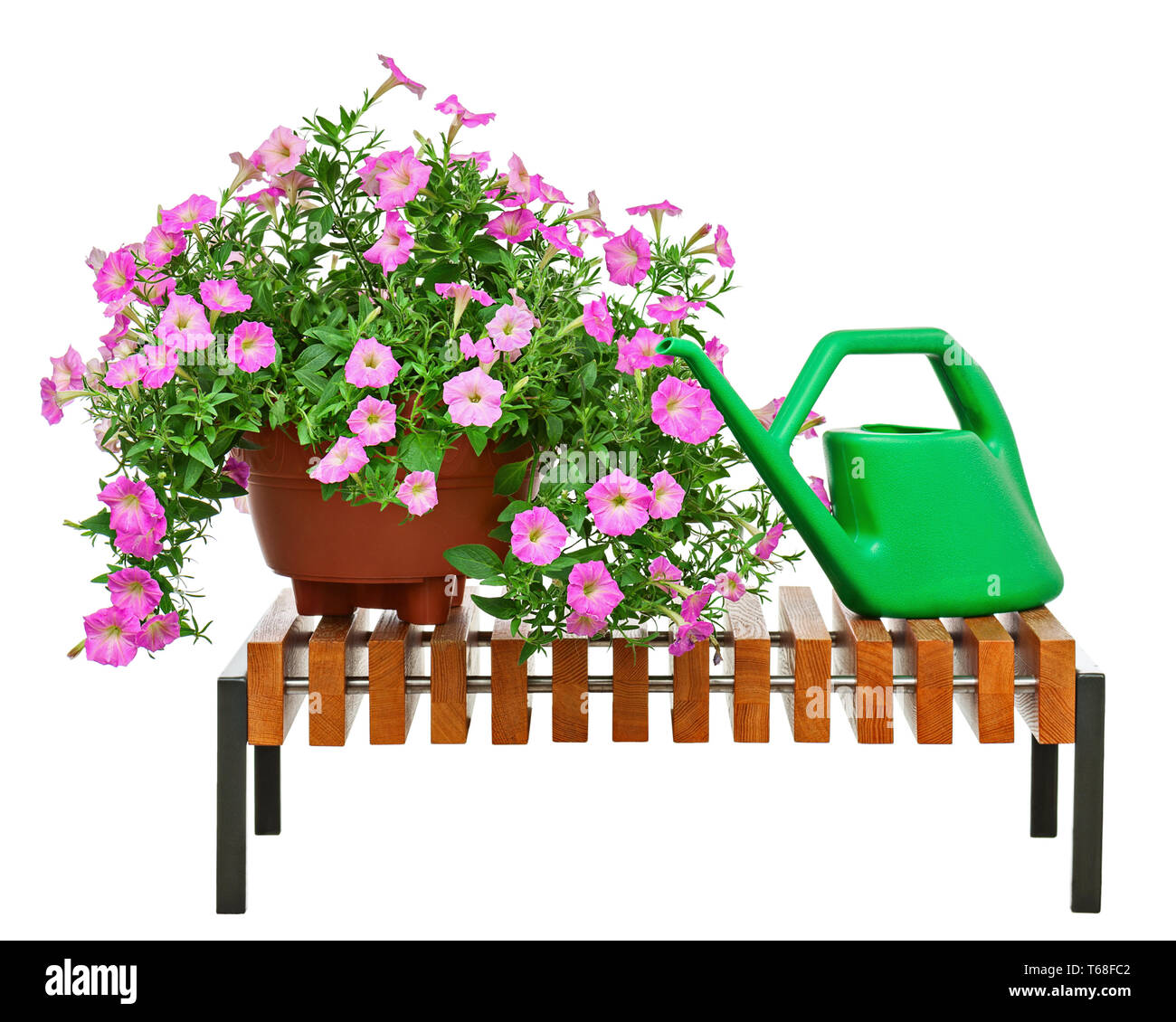 Green house on flowers Cut Out Stock Images & Pictures - Alamy