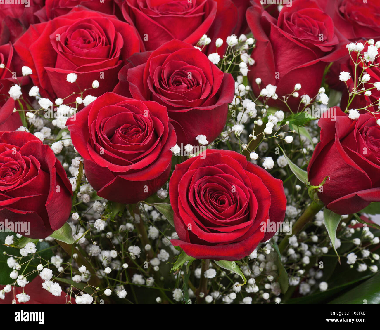 Flower bouquet from red roses Stock Photo - Alamy