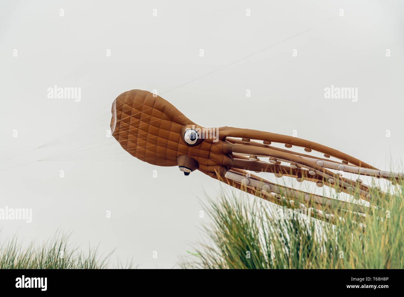 Flying squids hi-res stock photography and images - Alamy