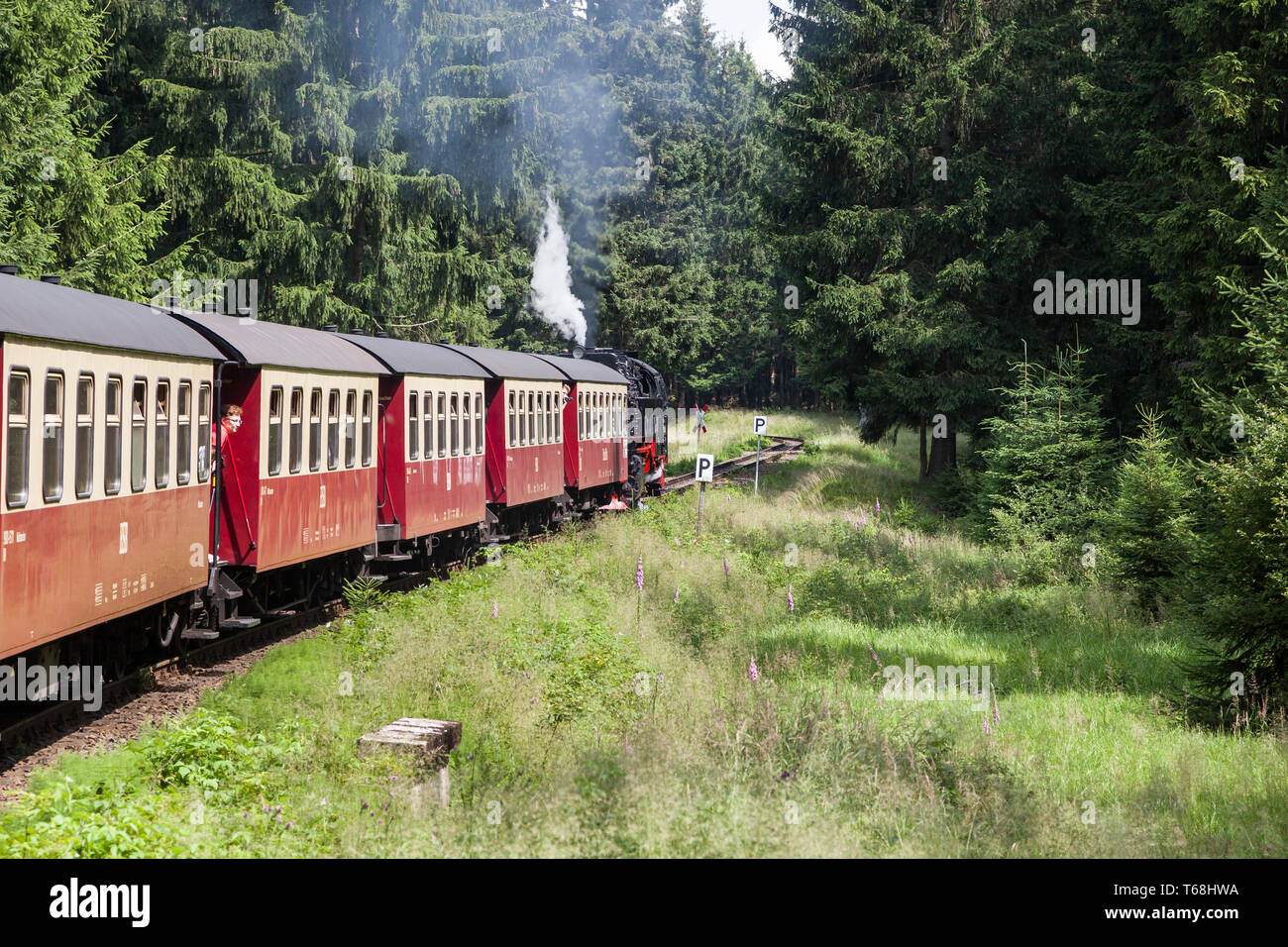 Historical light railway in Harz Mountains, Central German Uplands ...