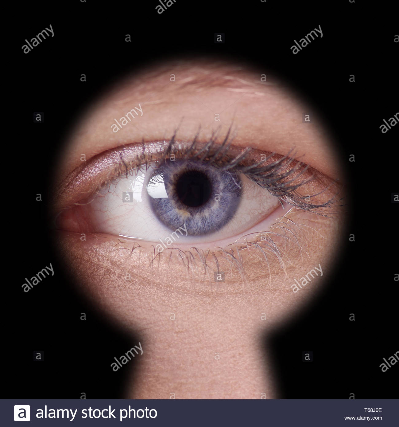 Prying Eye High Resolution Stock Photography and Images - Alamy