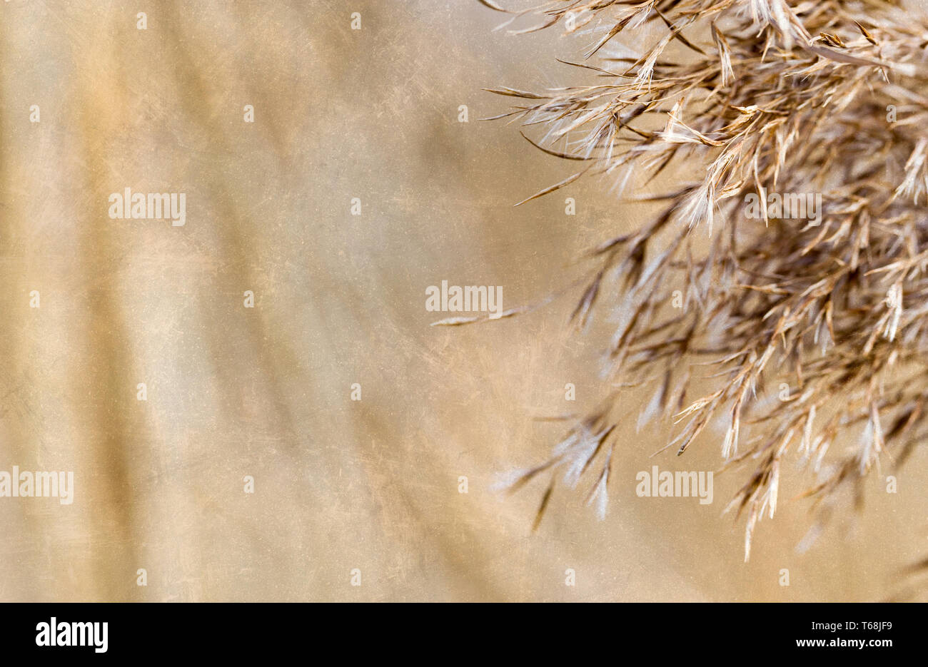 natural background retro color effect Stock Photo - Alamy