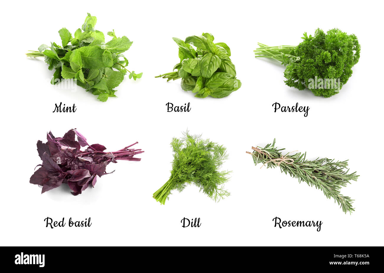 Different fresh herbs on white background Stock Photo - Alamy