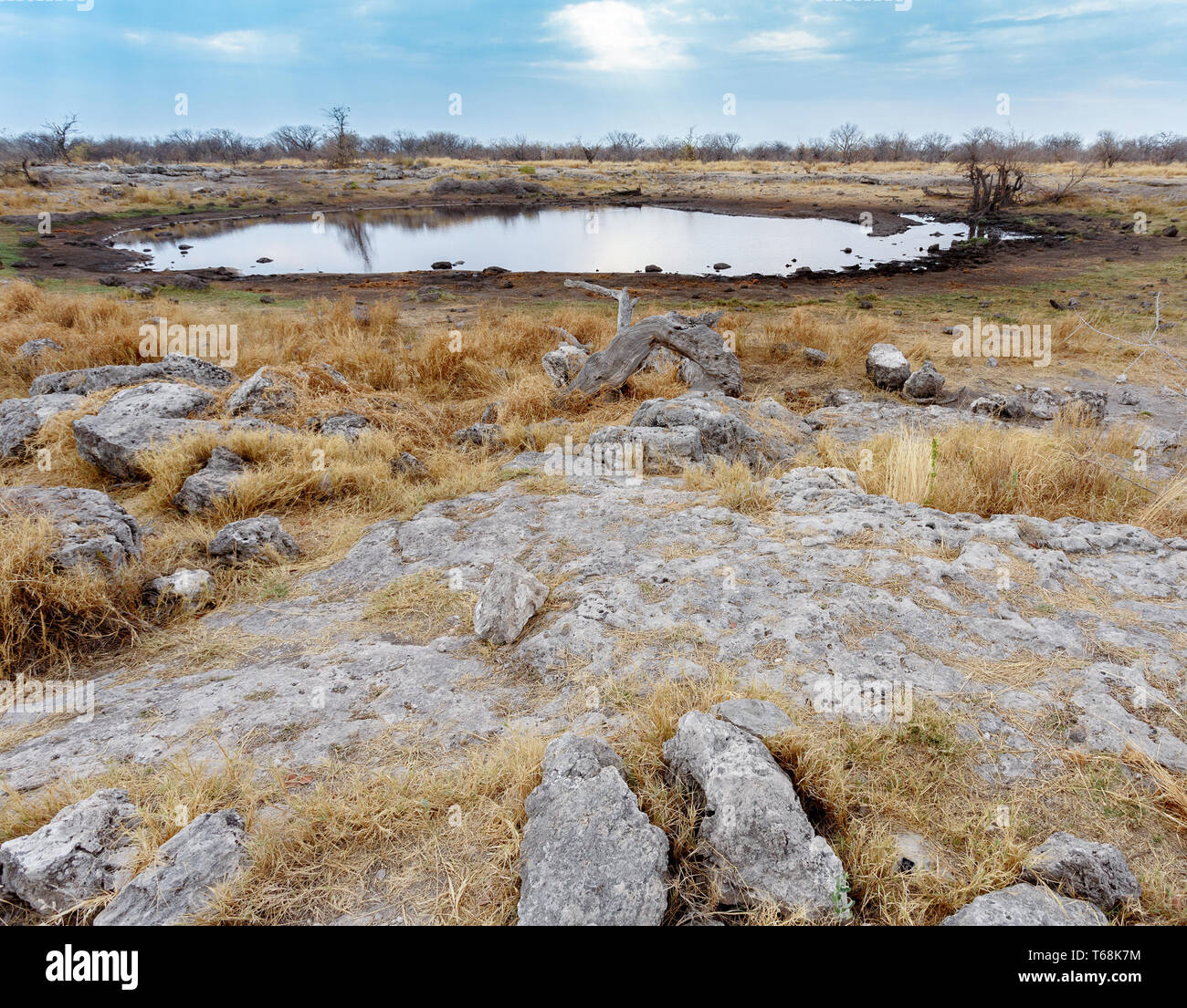Empty waterhole in namibia game reserve Stock Photo - Alamy