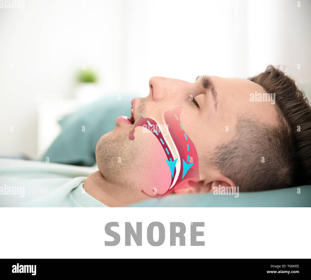 Illustration human tongue anatomy hi-res stock photography and images ...