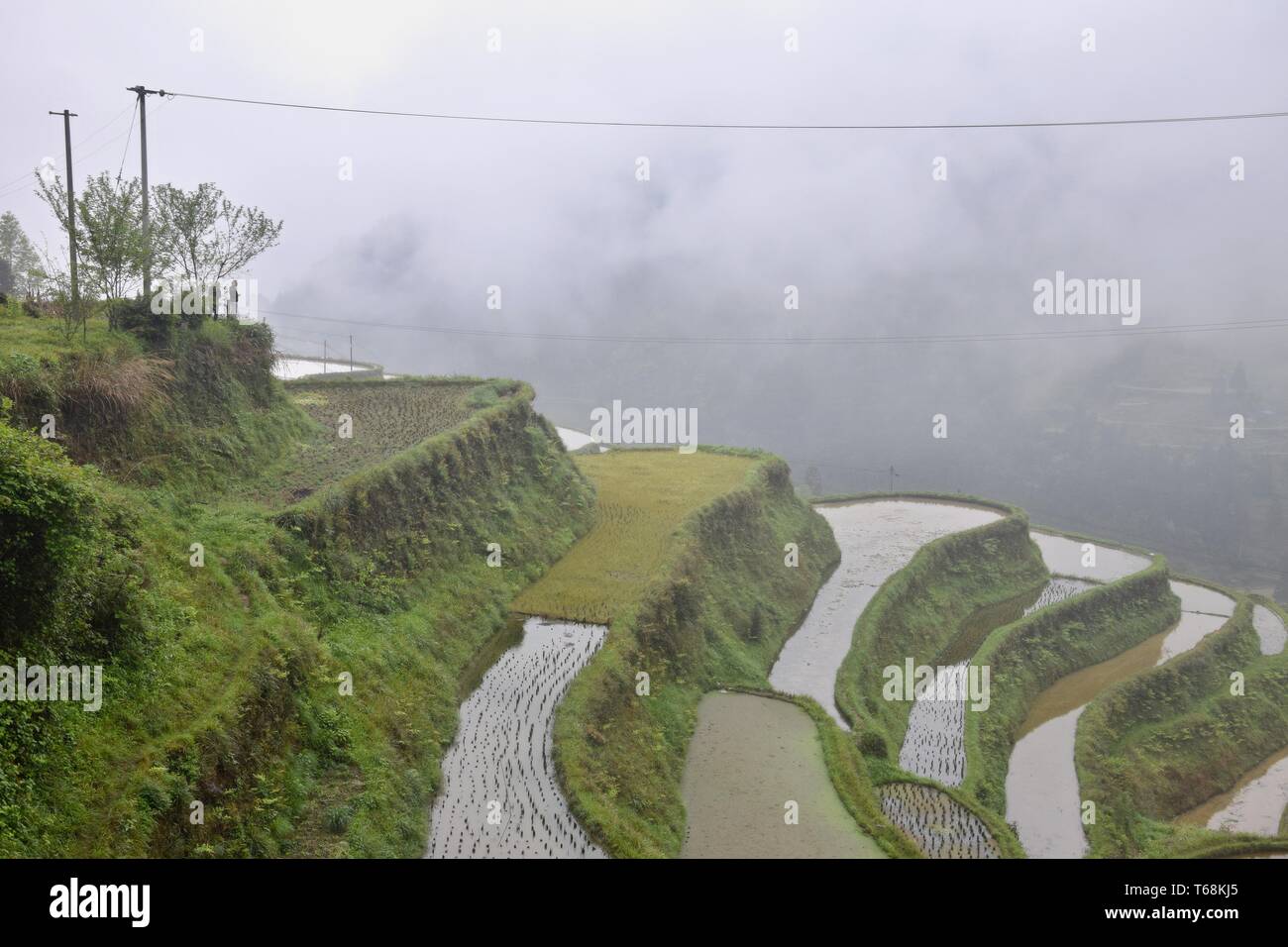 The terraced rice fields on the slope of mountains in Guizhou province ...