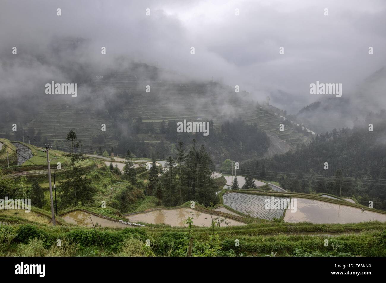 The terraced rice fields on the slope of mountains in Guizhou province ...