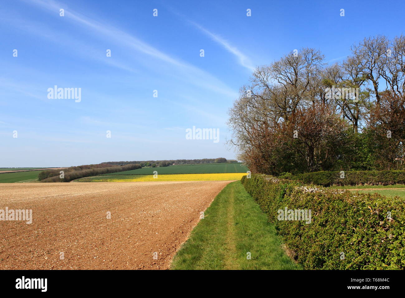British hedgerows hi-res stock photography and images - Alamy