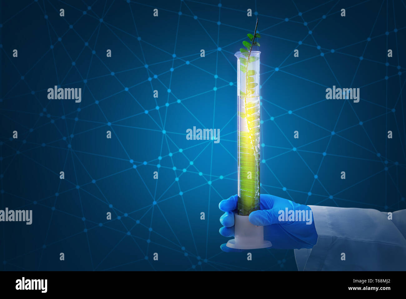 Scientist holding test tube with plant on color background Stock Photo ...