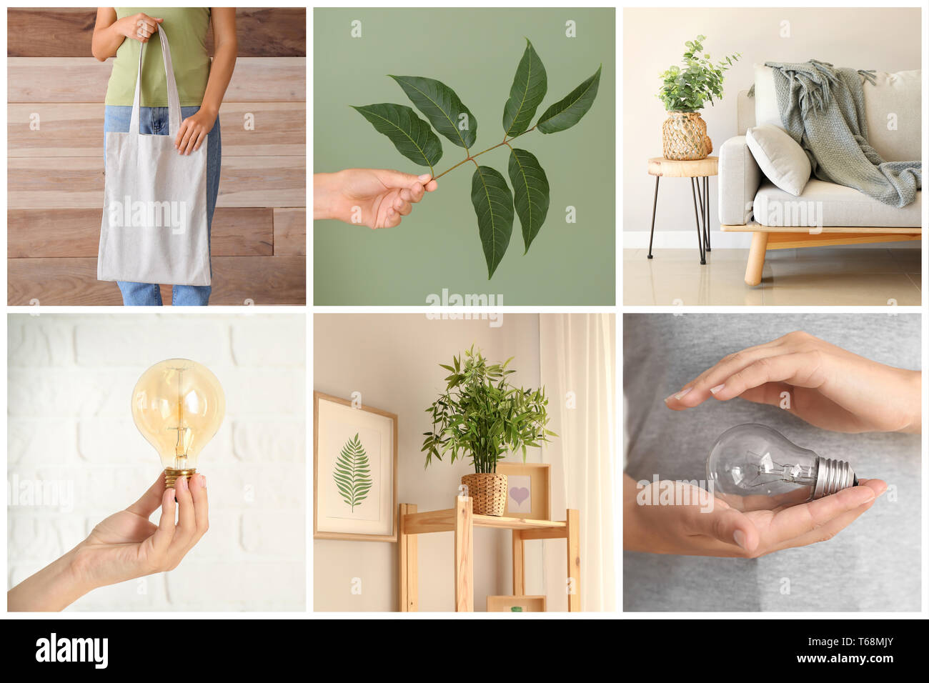 Collage of photos with eco concept Stock Photo - Alamy