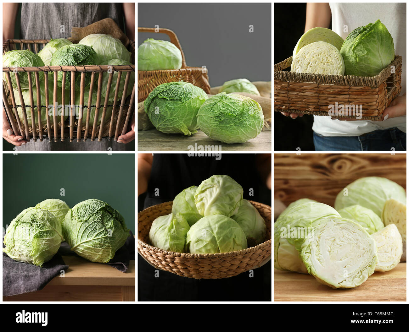 Collage of photos with fresh tasty cabbages Stock Photo - Alamy