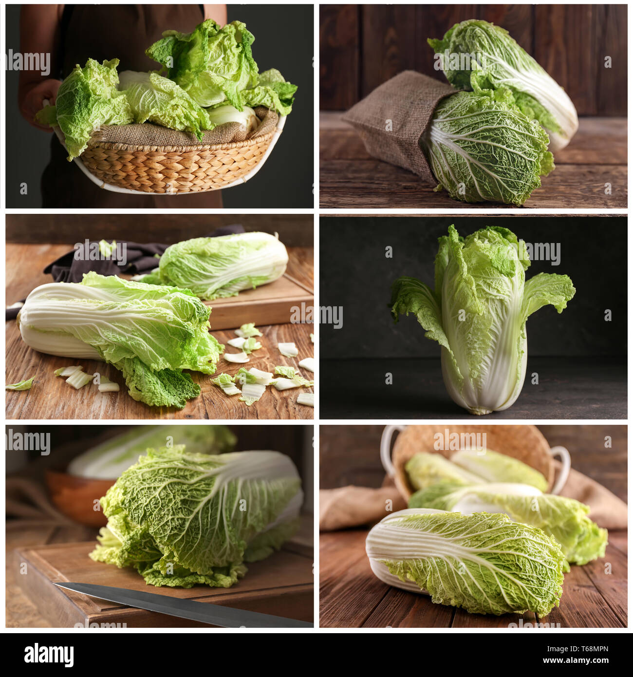 Set of fresh Chinese cabbage Stock Photo - Alamy