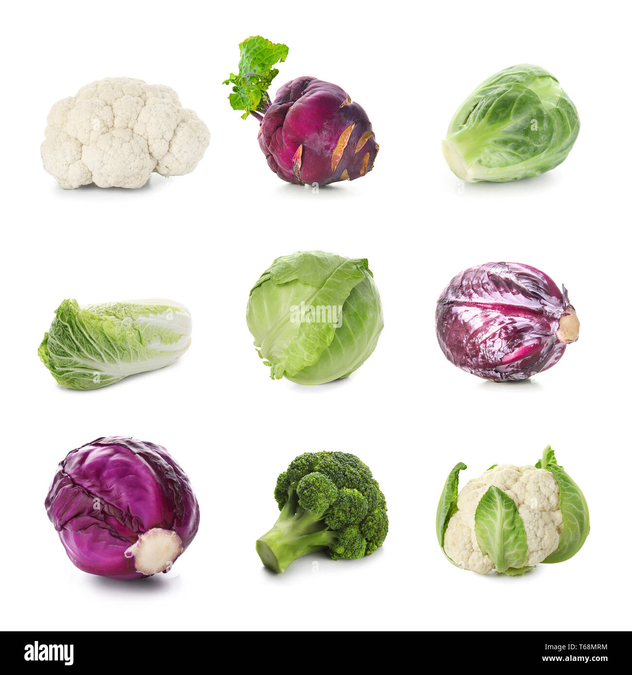 Different kinds of cabbage on white background Stock Photo - Alamy