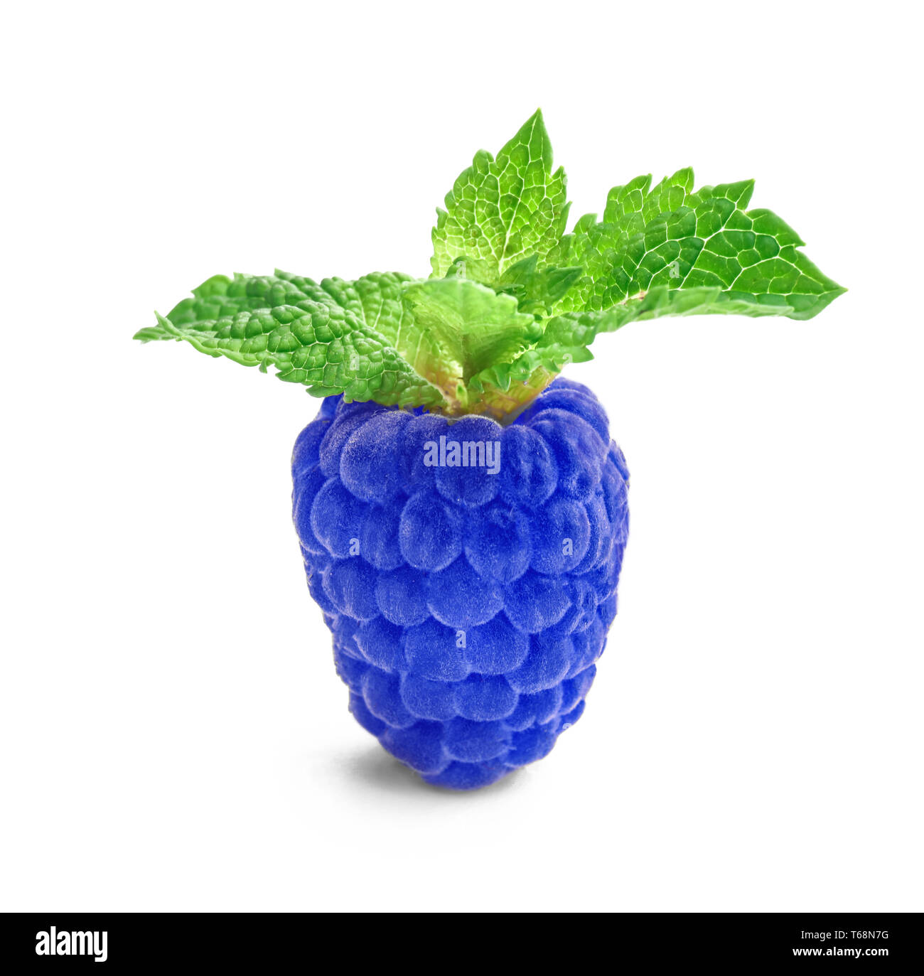 Fresh ripe blue raspberry on white background Stock Photo - Alamy Fresh ripe blue raspberry on white background Stock Photo - Alamy