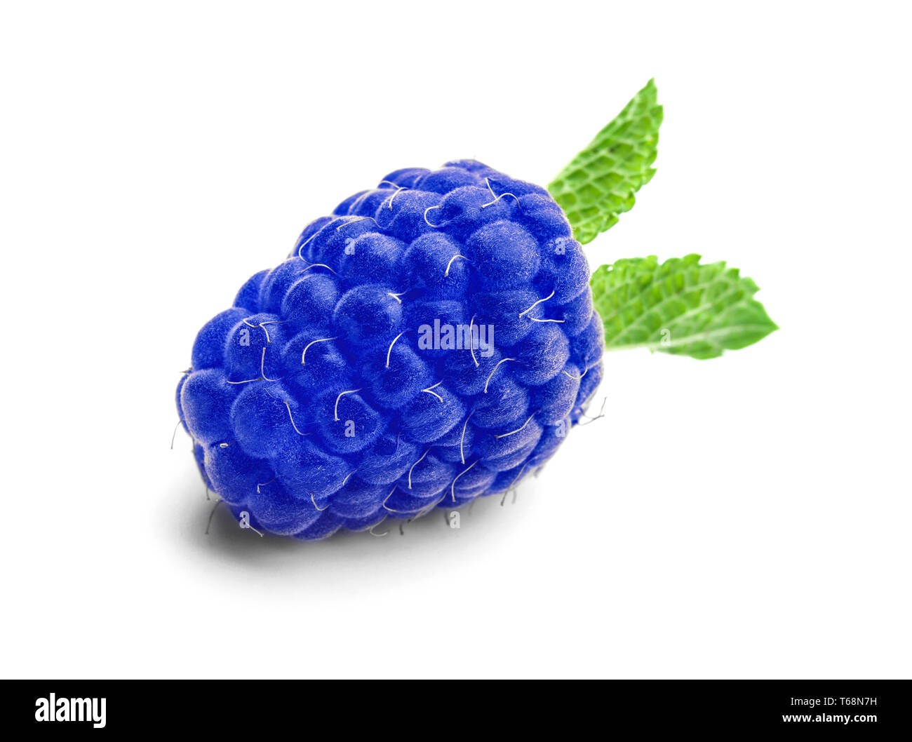 Fresh ripe blue raspberry on white background Stock Photo - Alamy Fresh ripe blue raspberry on white background Stock Photo - Alamy