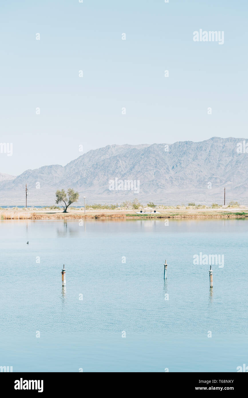 Tamarisk Desert Stock Photos & Tamarisk Desert Stock Images - Alamy