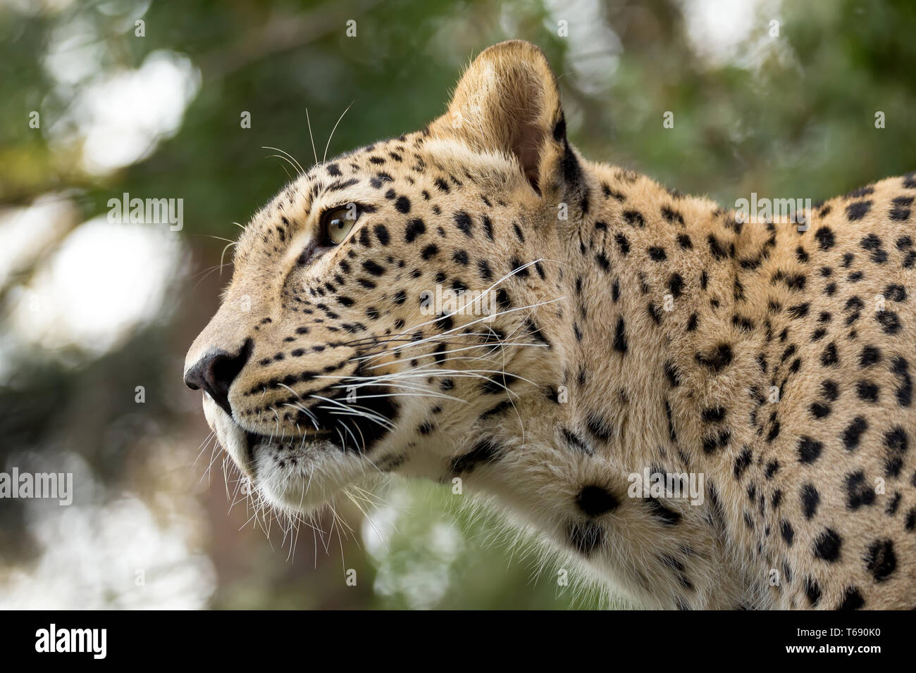 Natural preser hi-res stock photography and images - Alamy