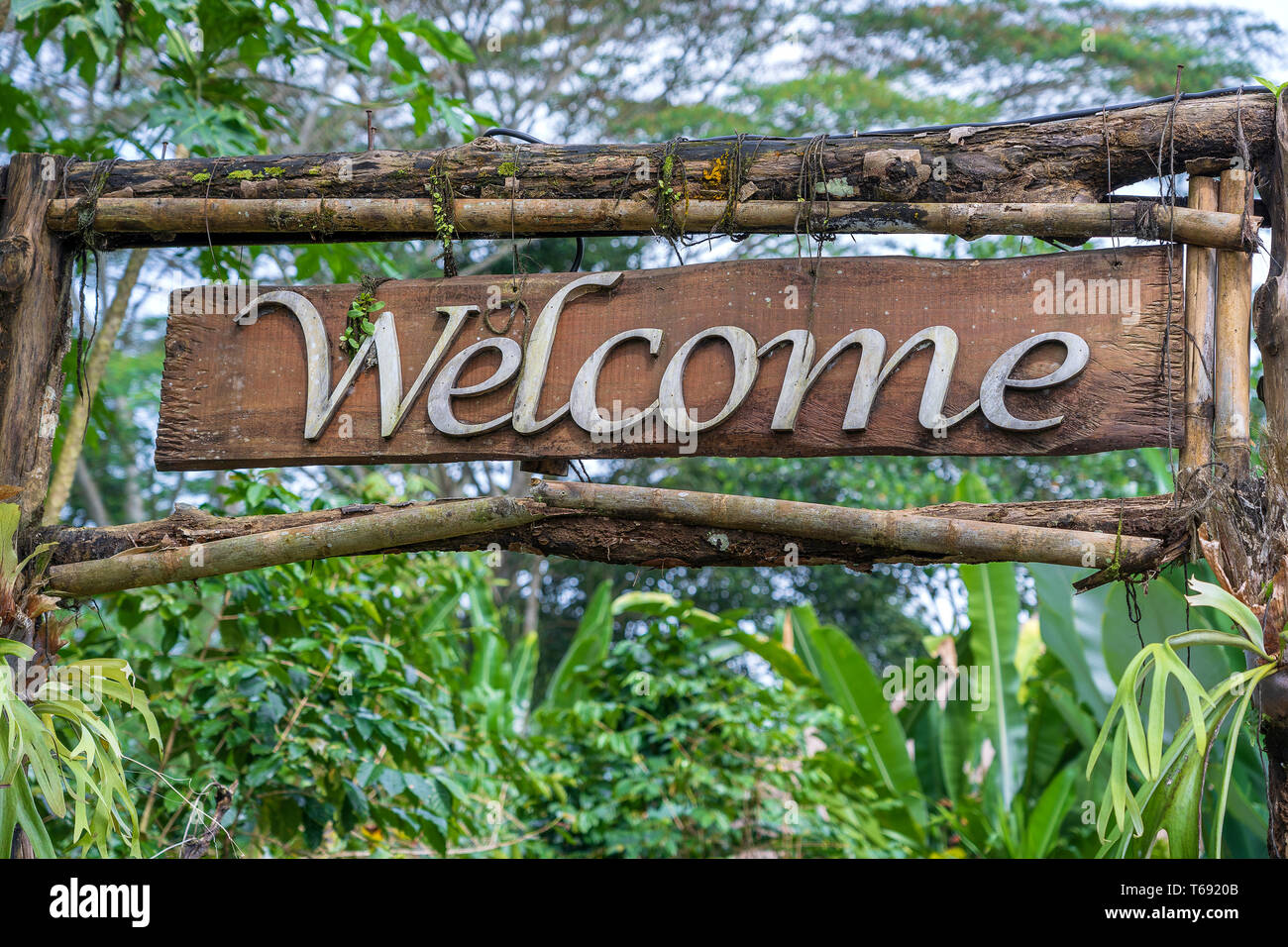 Wooden sign board walk way hi-res stock photography and images - Alamy