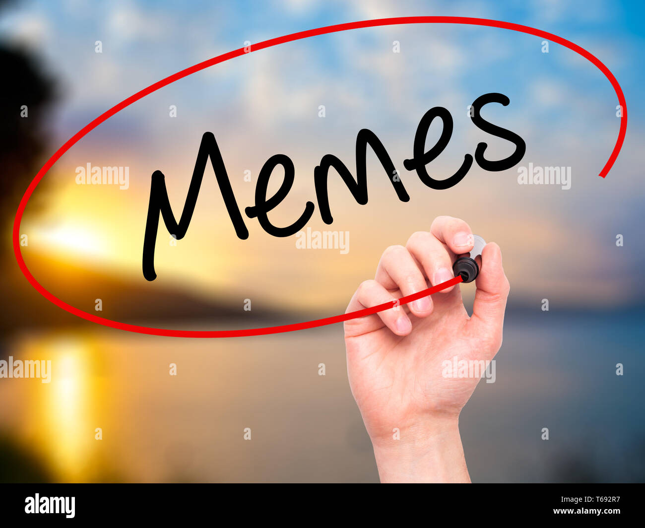 Man Hand writing Memes with black marker on visual screen Stock Photo ...