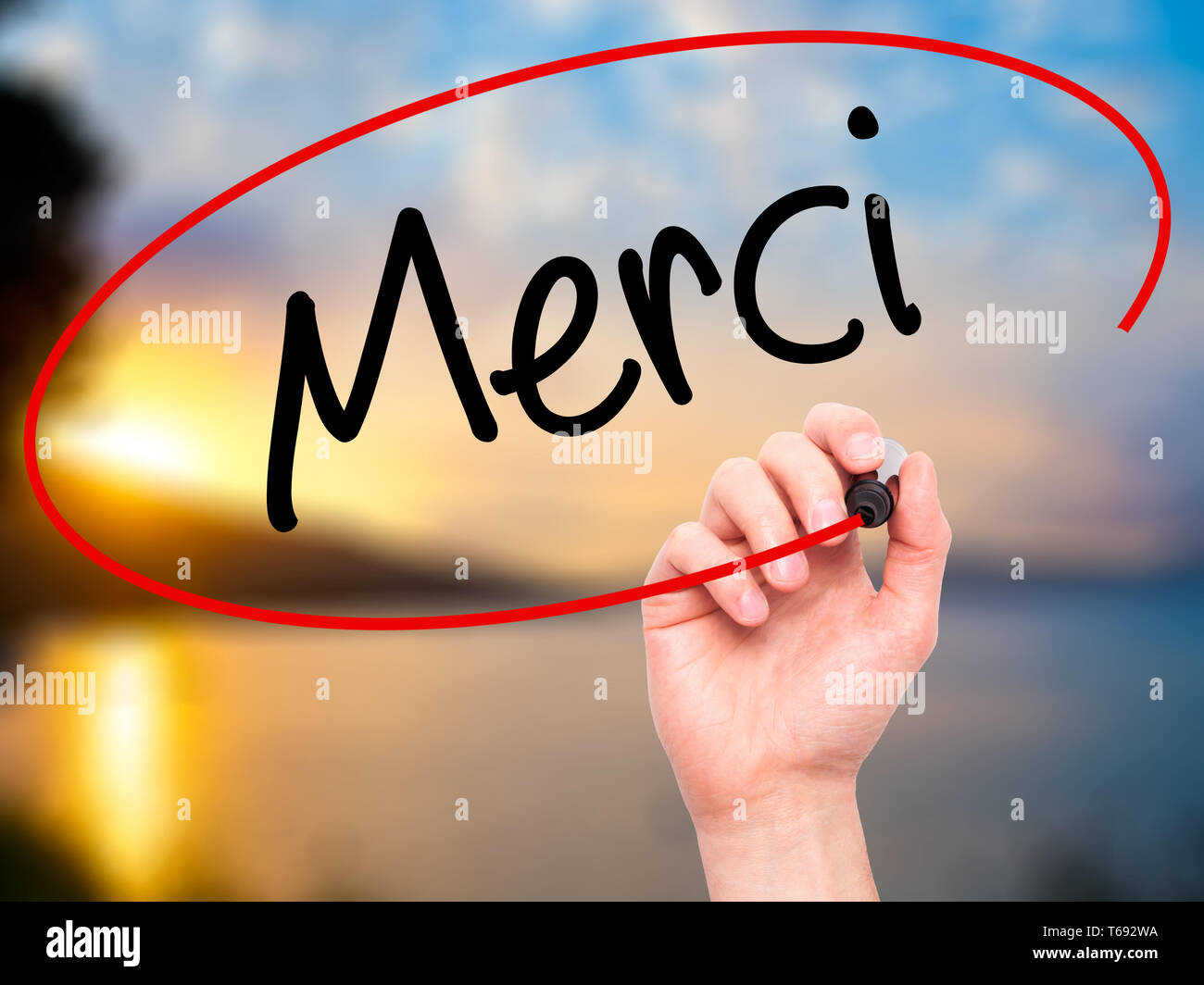 Man Hand writing Merci (Thank You In French) with black marker on ...