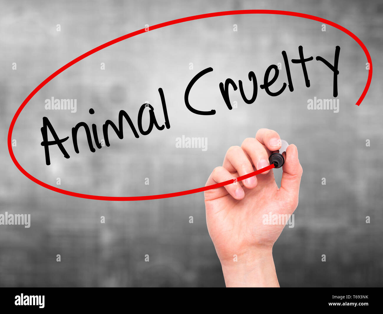 Man Hand writing Animal Cruelty with black marker on visual screen ...