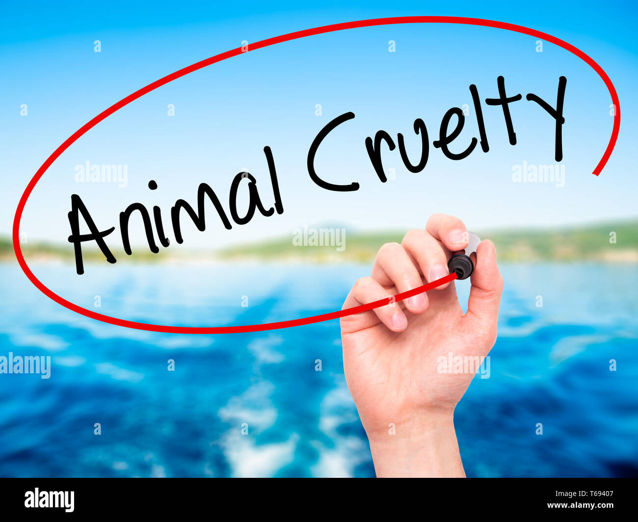 Man Hand writing Animal Cruelty with black marker on visual screen ...