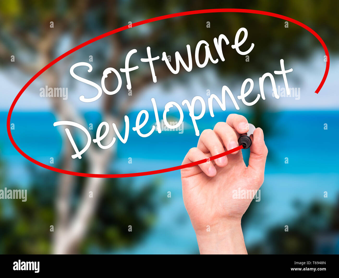 Man Hand writing Software Development with black marker on visual ...