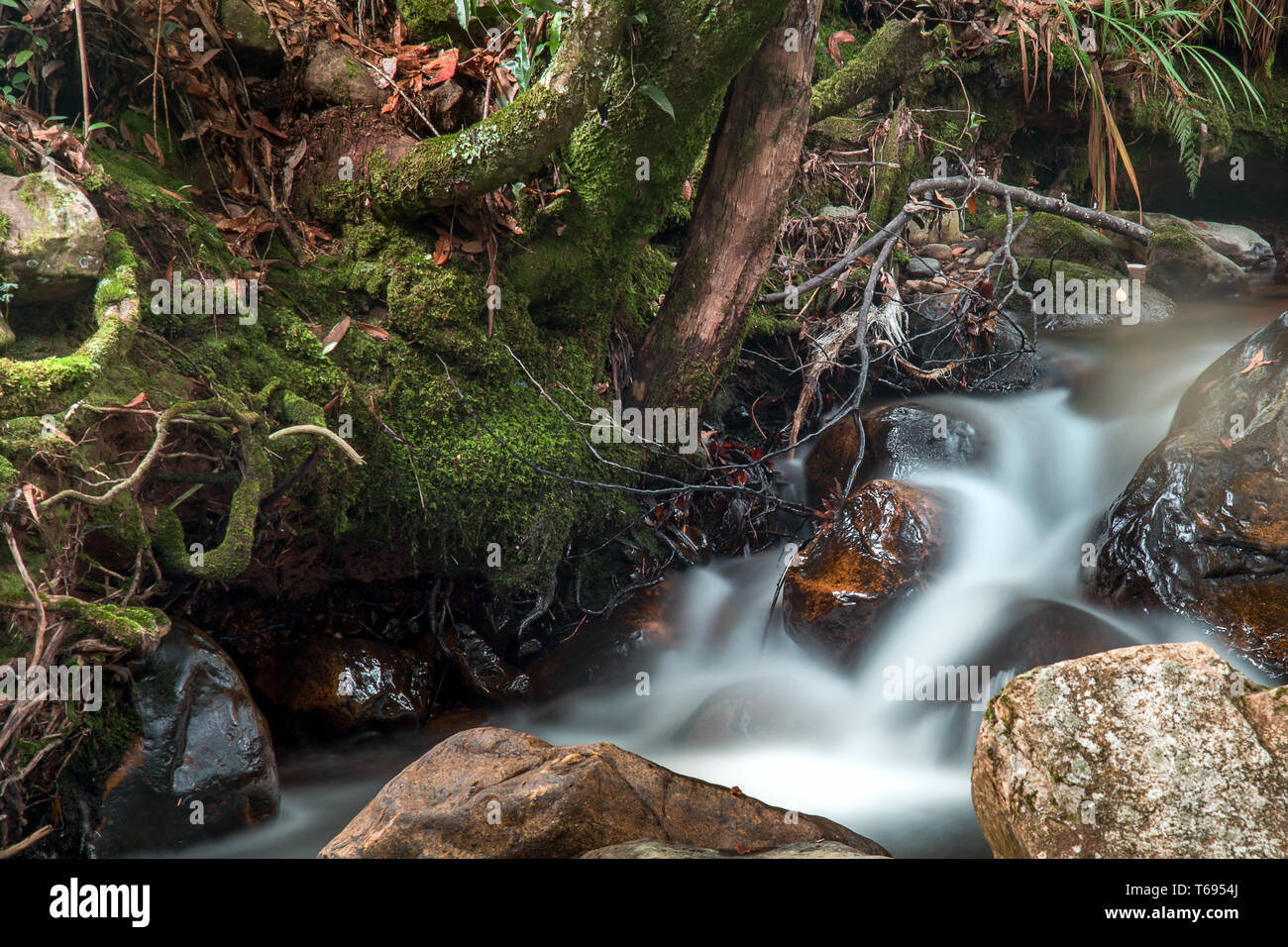 Multiple exposure of a cold stream of water in a mountain creek ...