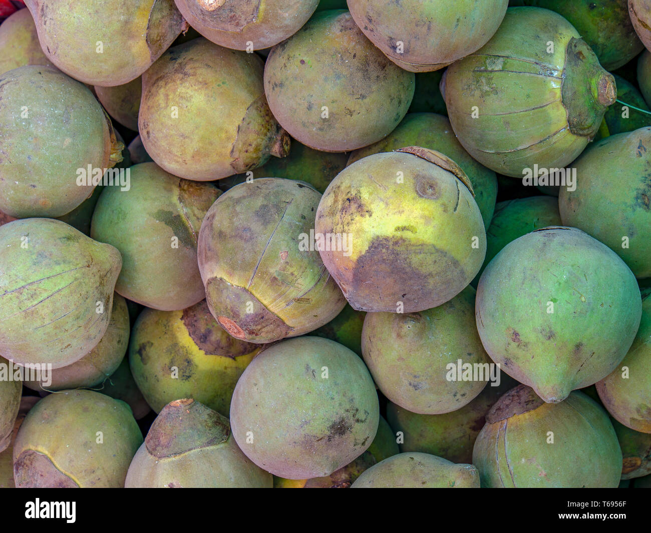 A heap of sapotes. Photographed at the local traditional market of the ...