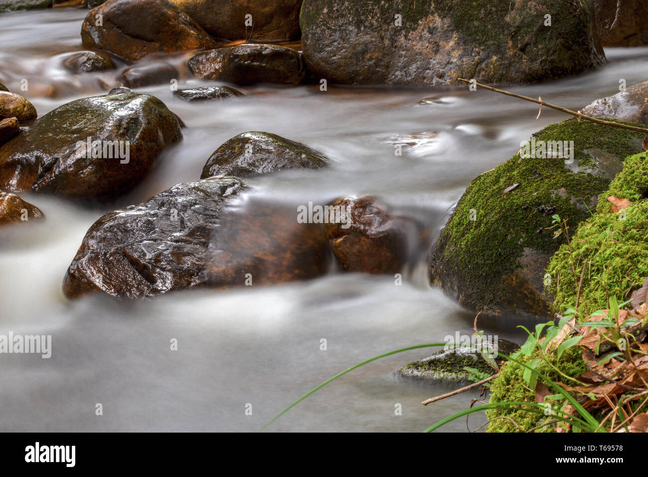 Multiple exposure of the cold stream of a ravine in the mountains near ...