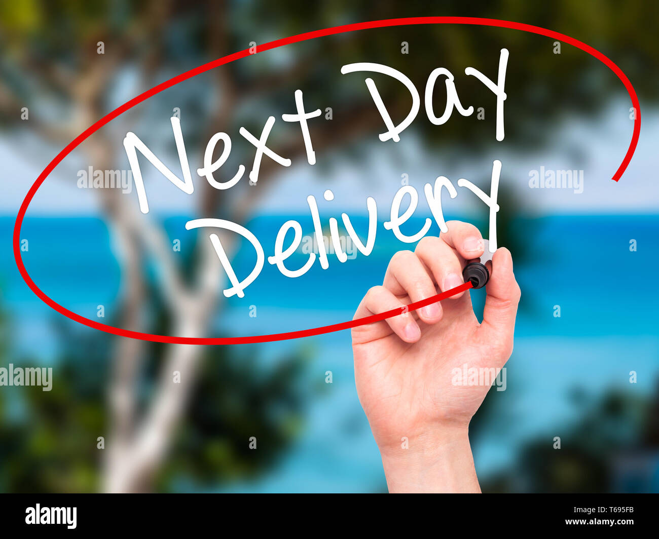 Man Hand writing Next Day Delivery with black marker on visual screen ...