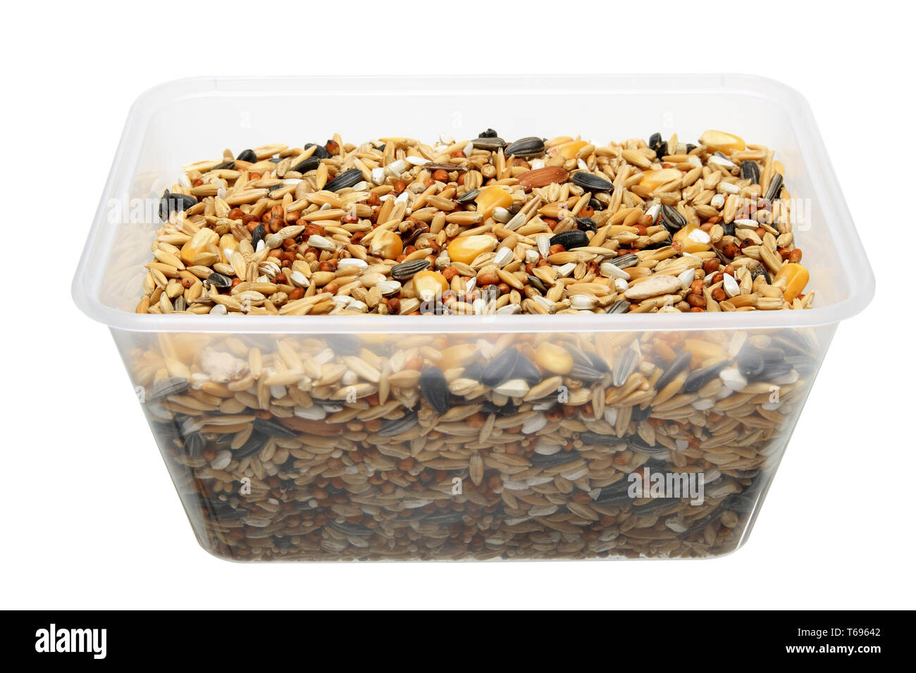 Bird seed sunflower seeds hi-res stock photography and images - Alamy
