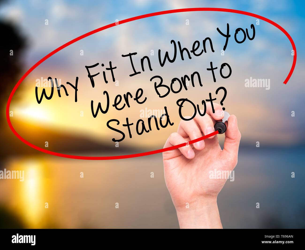 Man Hand writing Why Fit In When You Were Born to Stand Out? with black ...