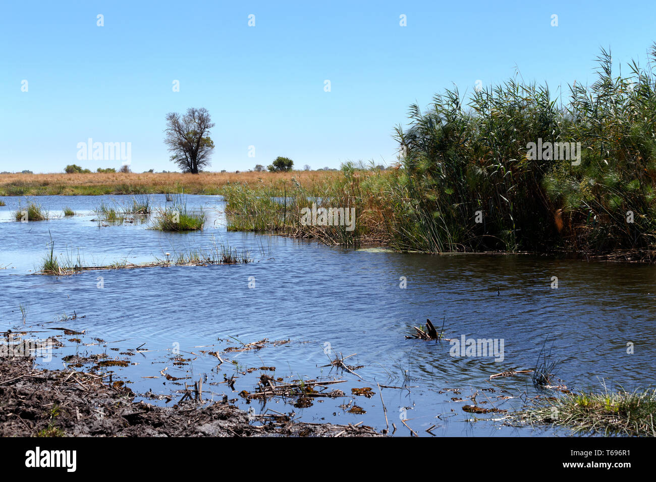 African landscape with river Stock Photo - Alamy