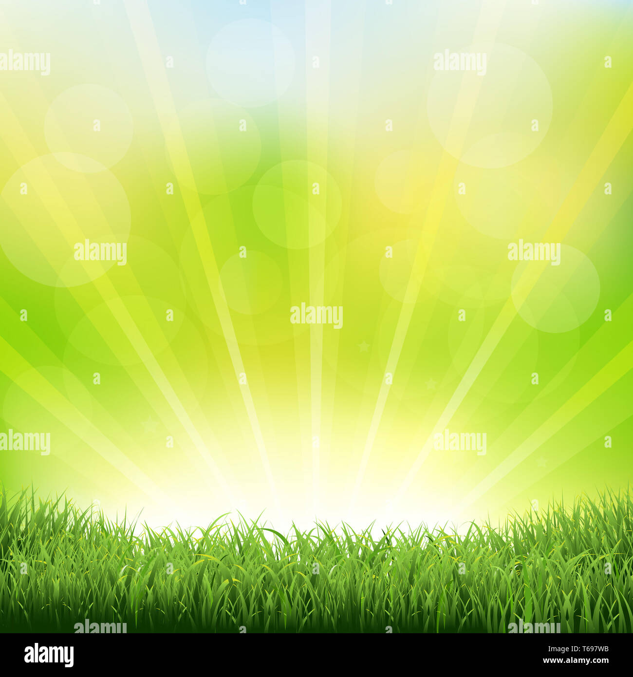 Abstract green background sunburst hi-res stock photography and images ...
