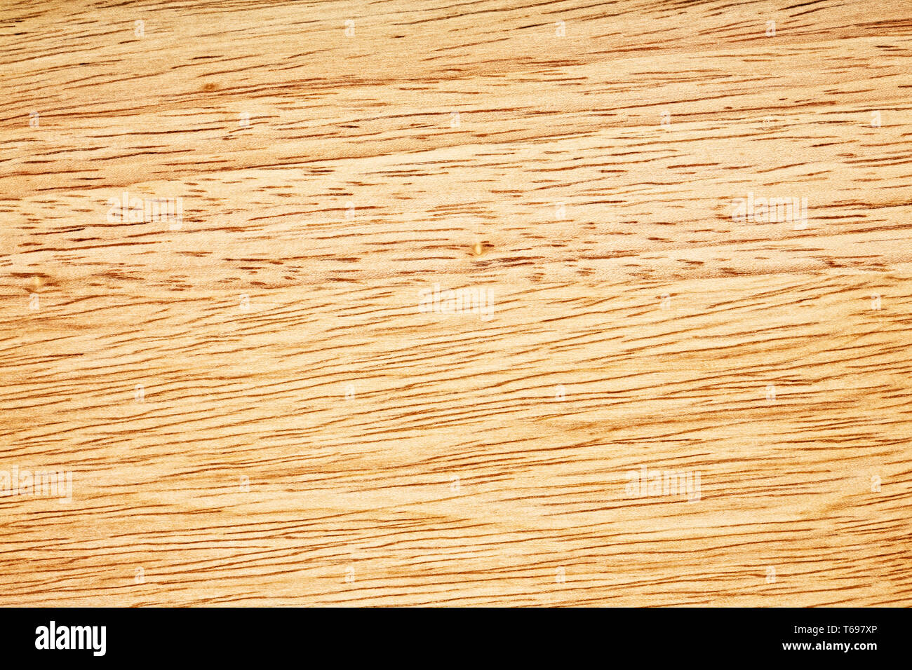 Warm texture hi-res stock photography and images - Alamy