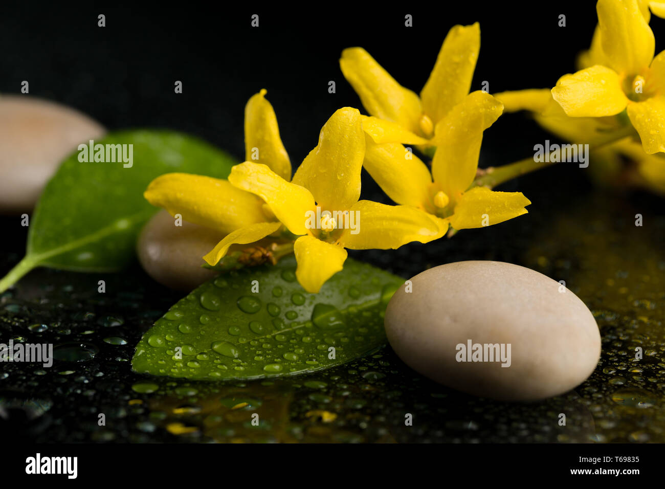Stacked pebbles flower hi-res stock photography and images - Alamy