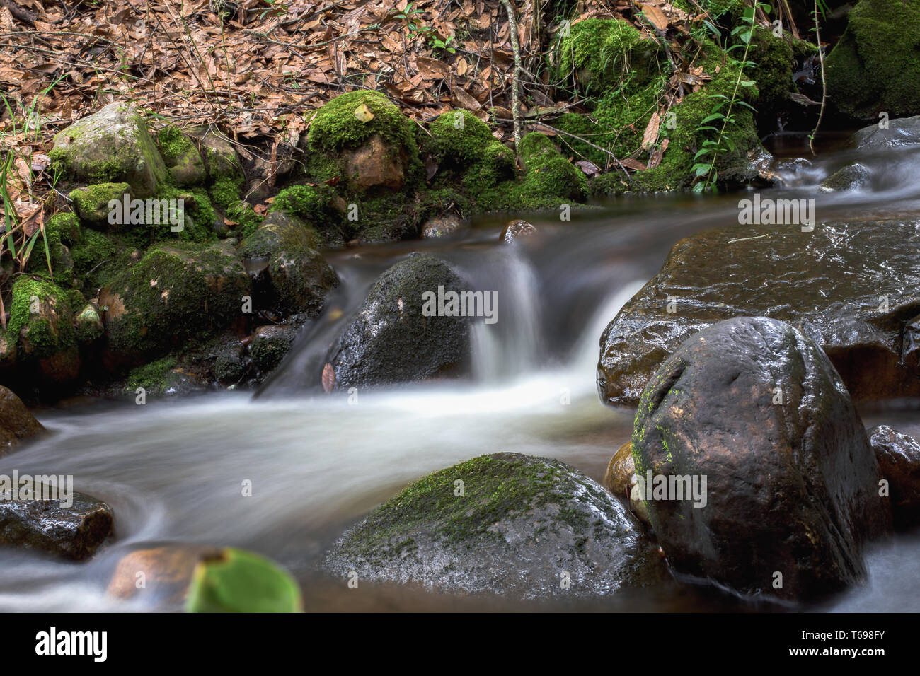Deep Ravine High Resolution Stock Photography and Images - Alamy