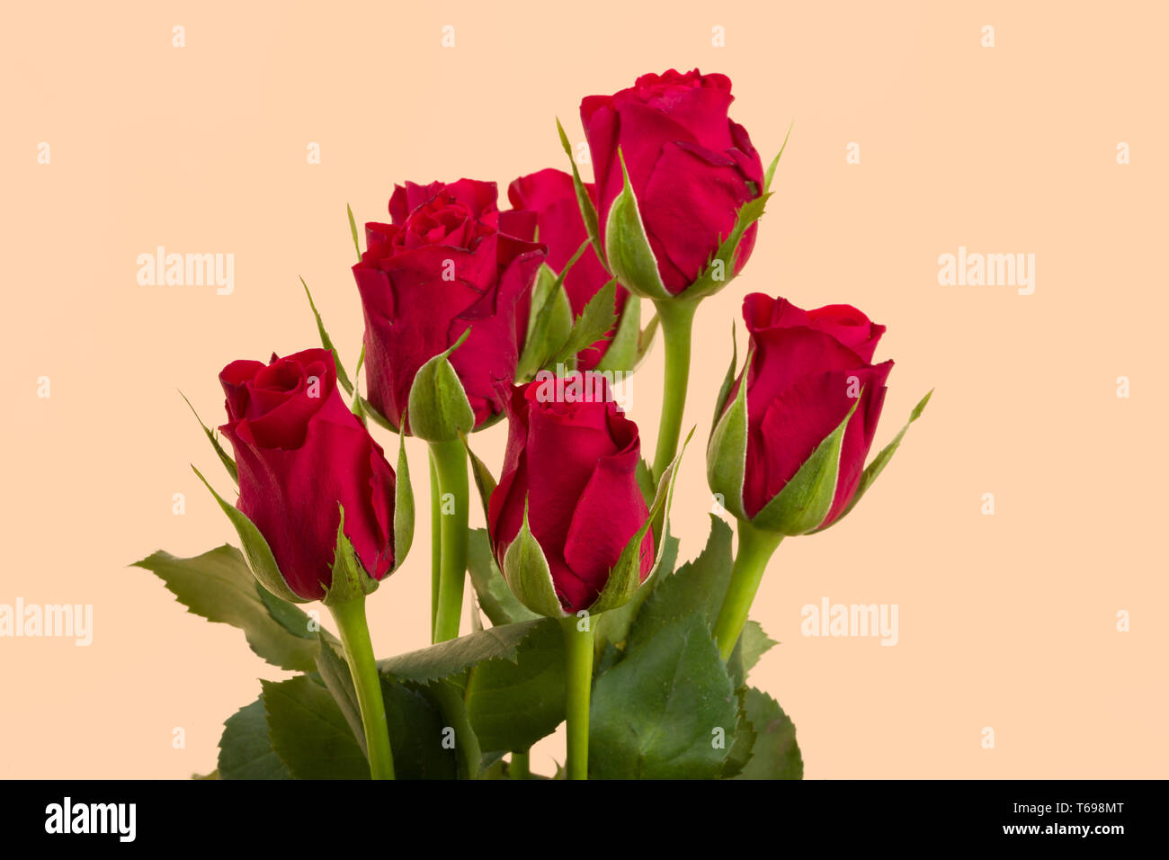 Bouquet of fresh red roses Stock Photo - Alamy
