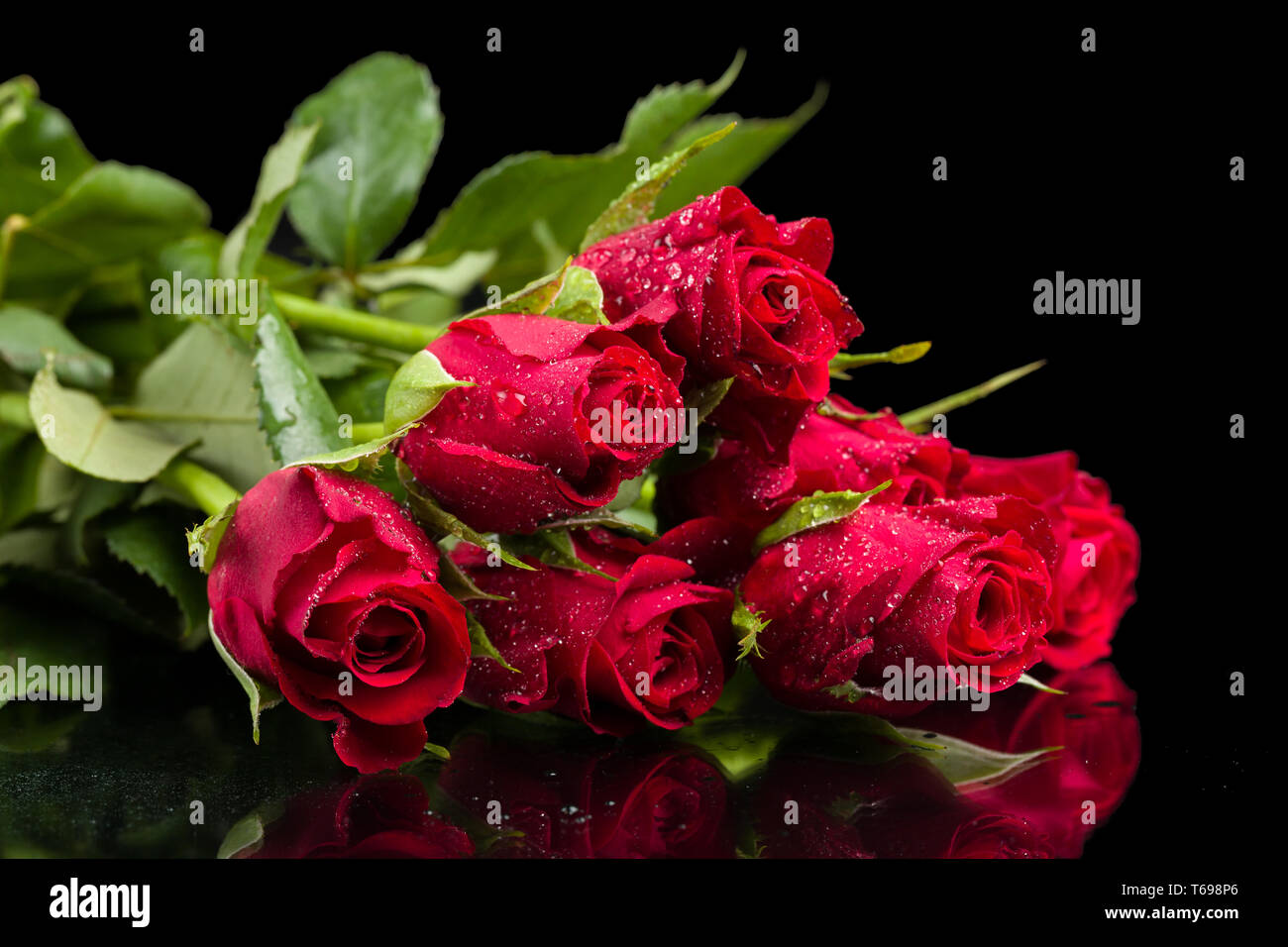 Celebratio summer hi-res stock photography and images - Alamy